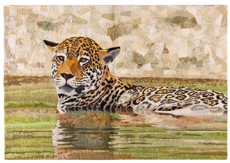 Quilt Gallery – Quilts