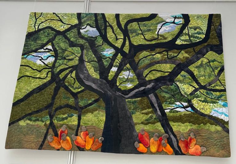 Quilt Gallery – Quilts